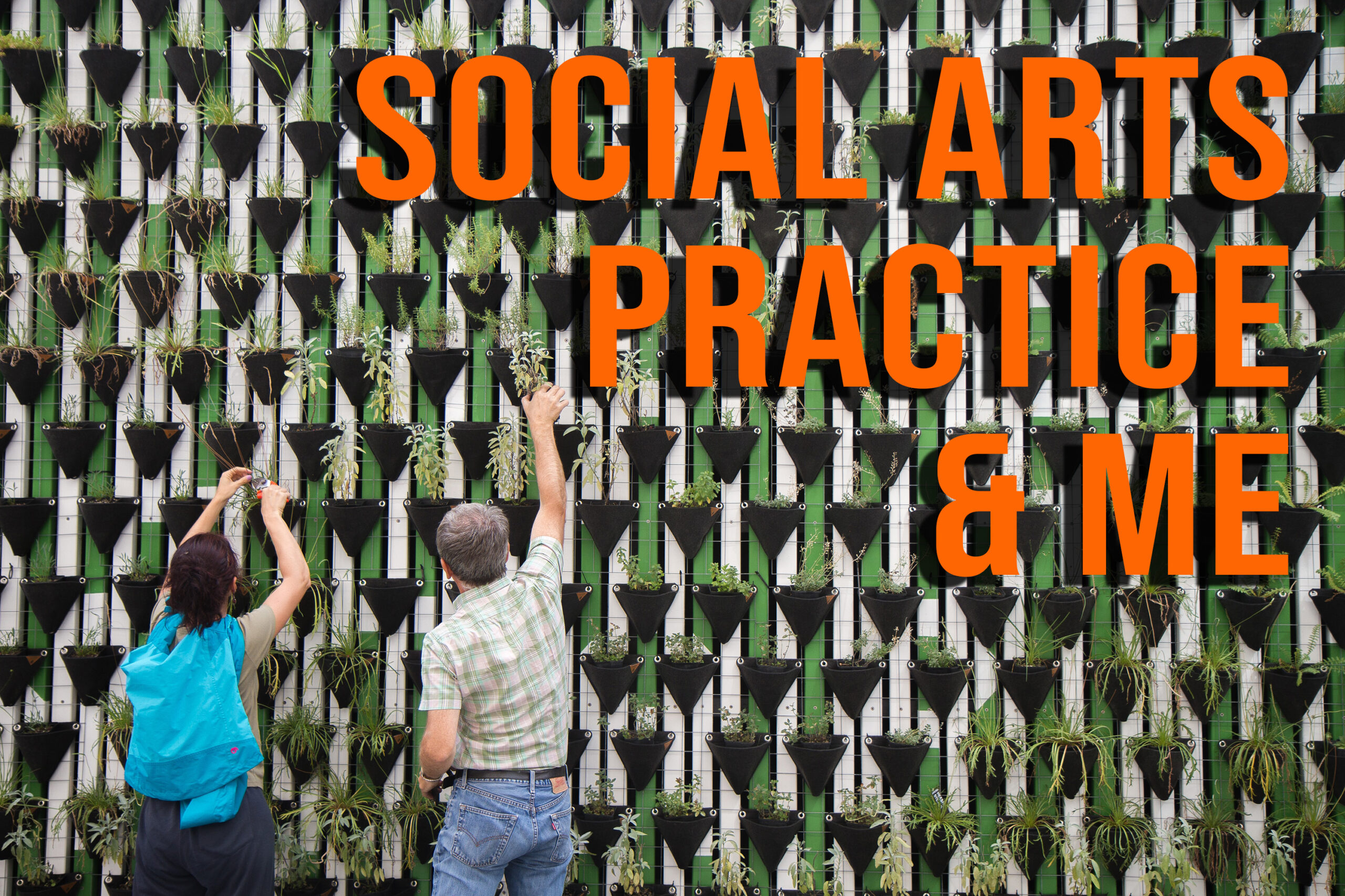 Social Arts Practice & Me - Seed Sedgemoor