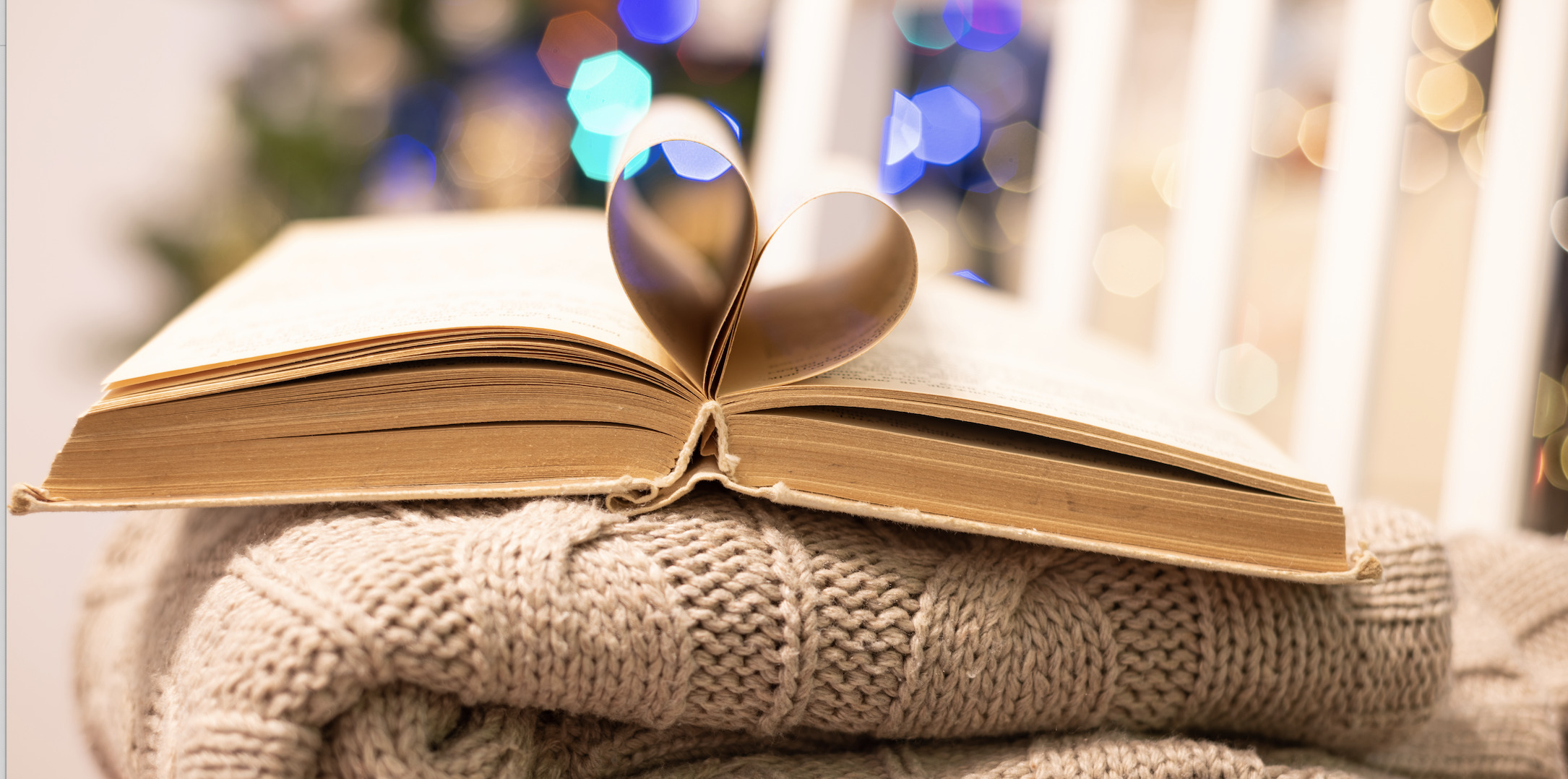 Creative Cold Weather Spaces - Seed Sedgemoor