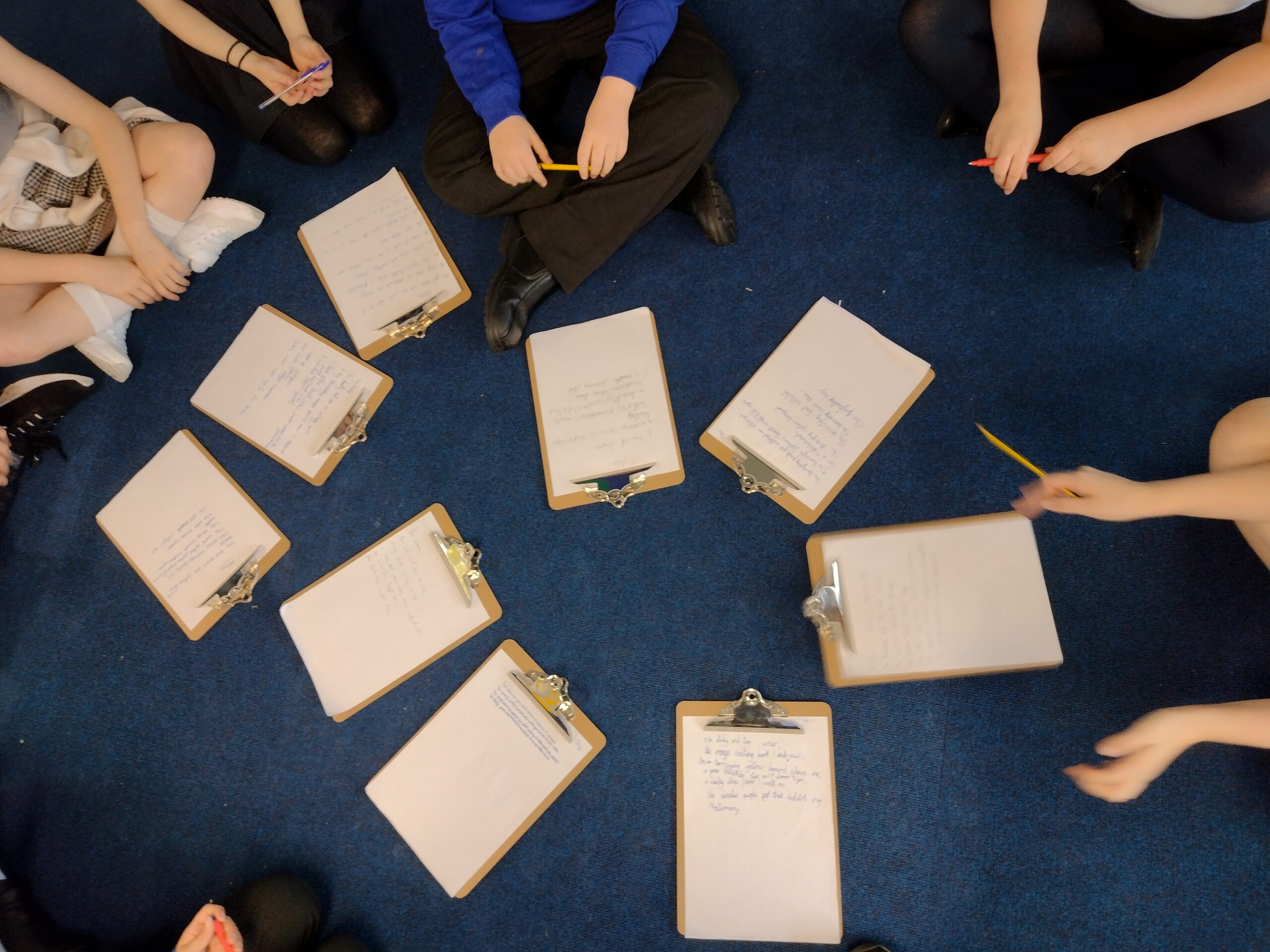 Woolavington School Project - Seed Sedgemoor