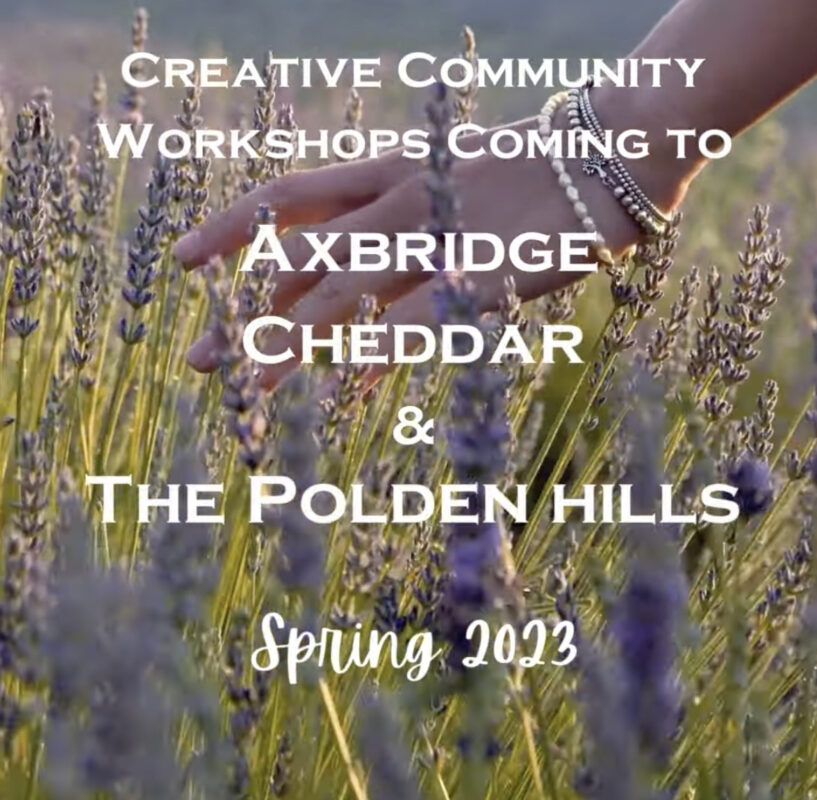 Blog - Seed Sedgemoor