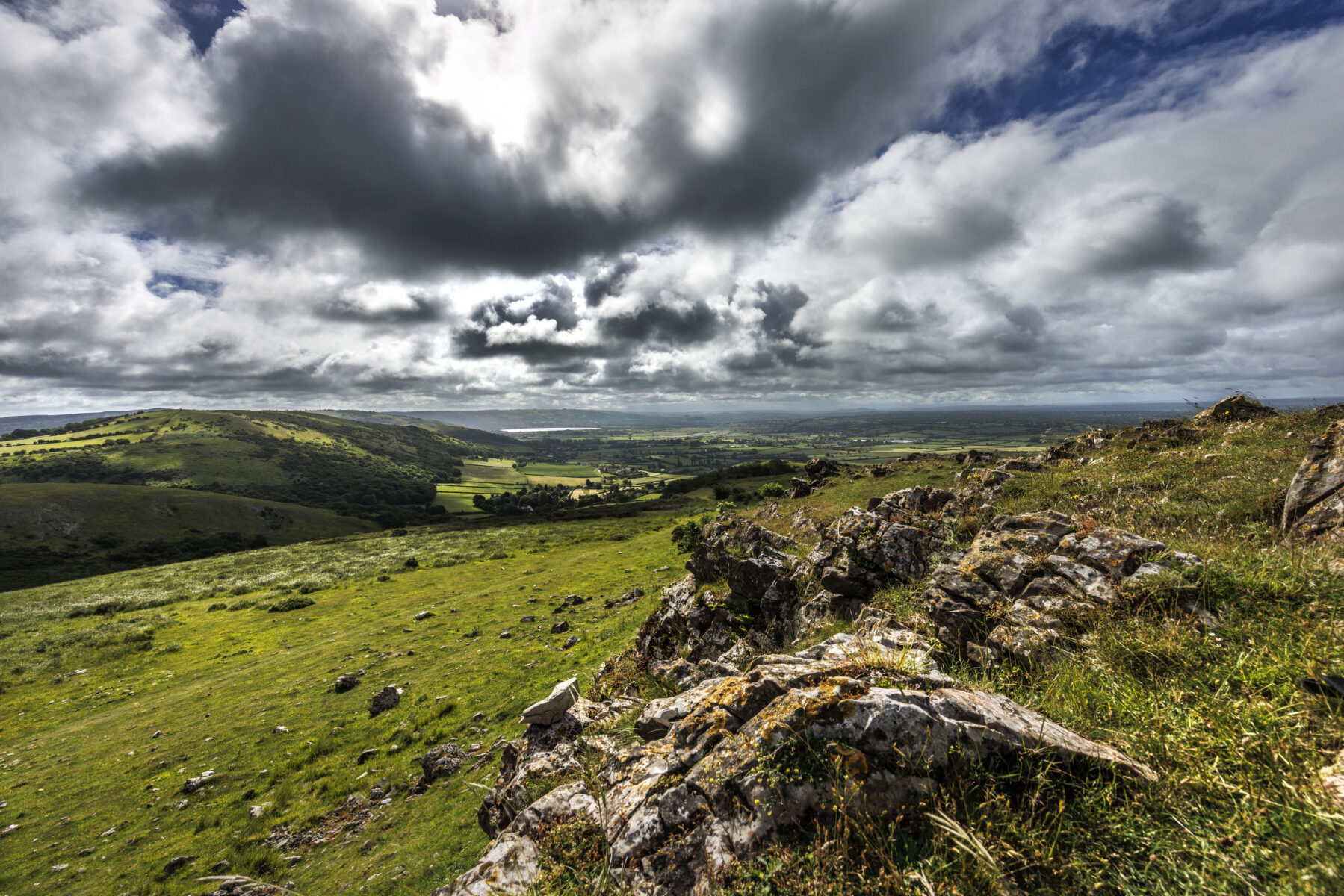 Blog - Seed Sedgemoor