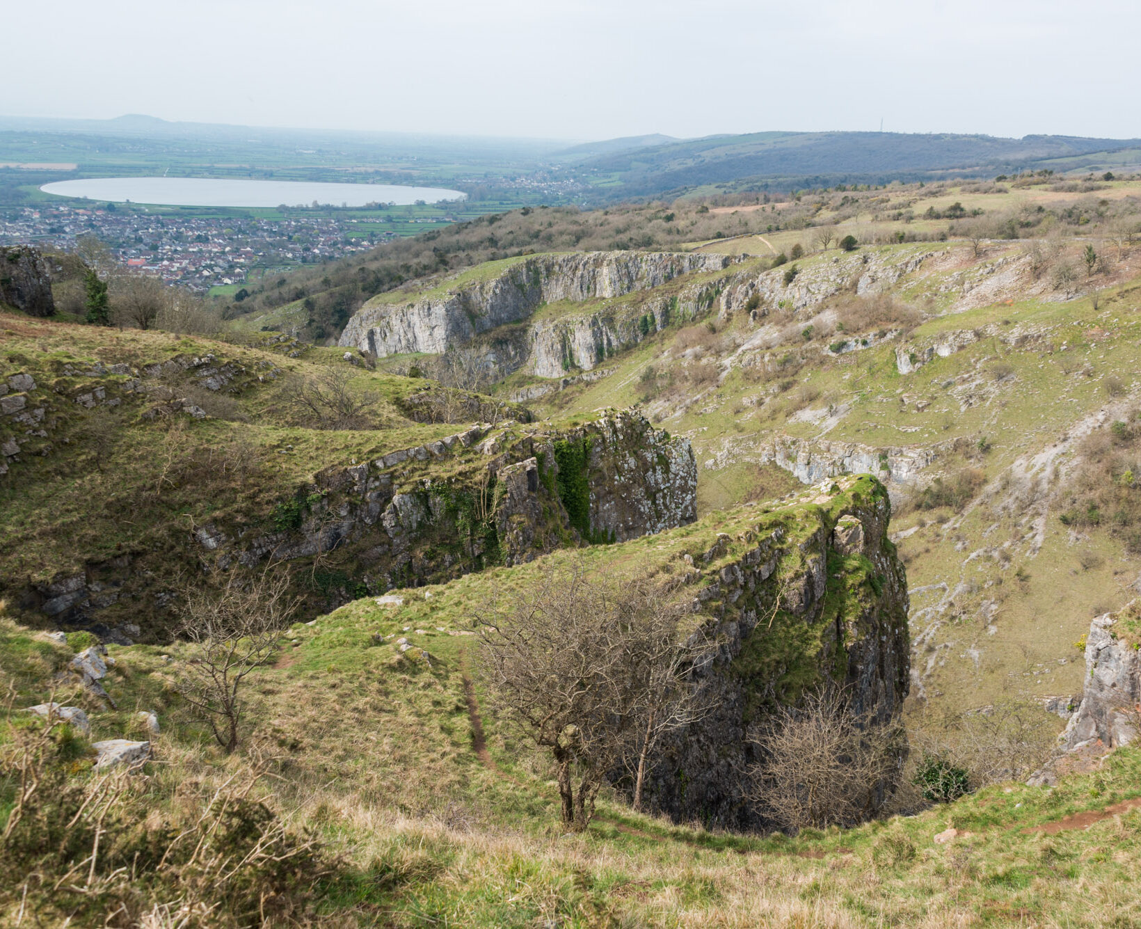 Moments on Mendip - Seed Sedgemoor